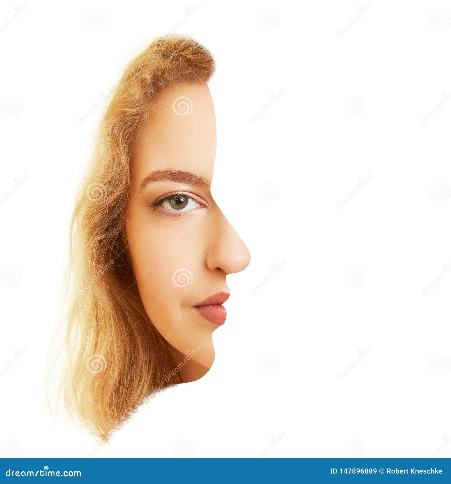 Face of a Woman Frontal and Laterally As Optical Illusion Stock Image ...