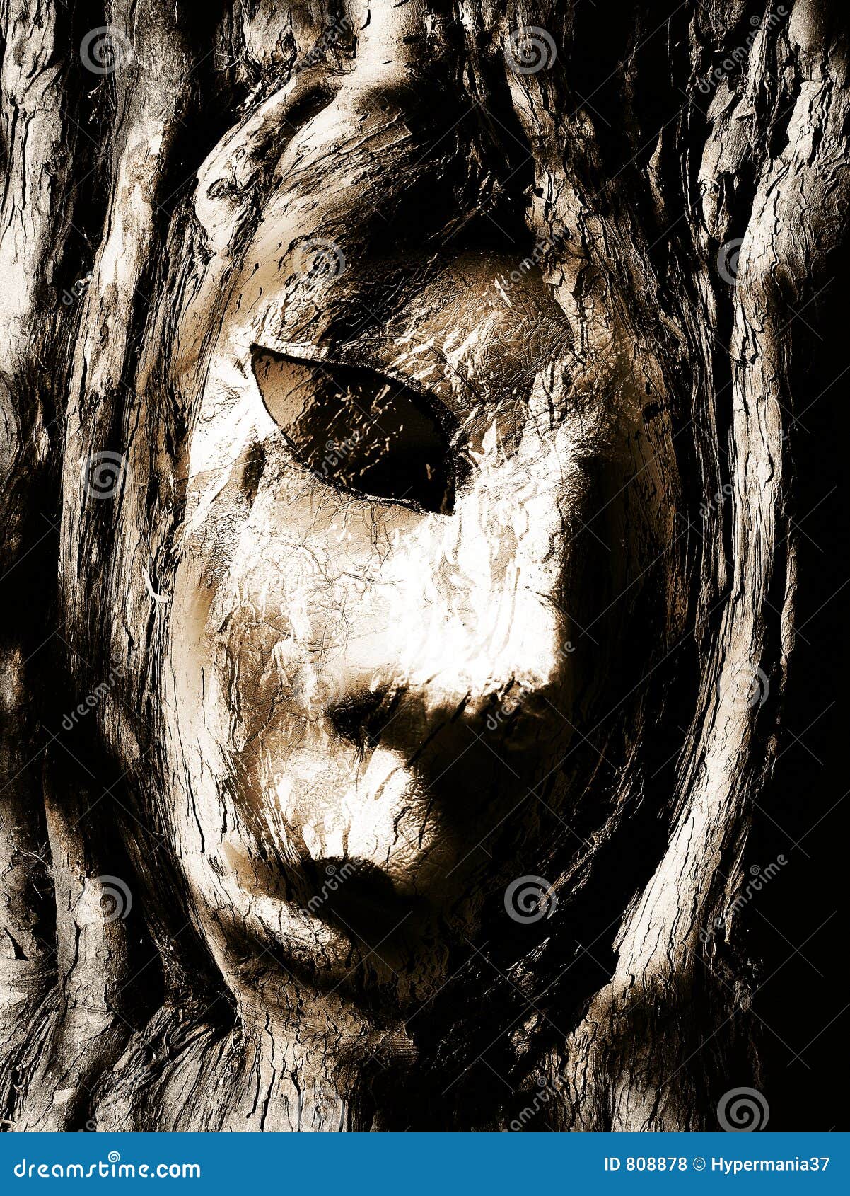 Face in wood stock photo. Image of crafts, skeletons, sheet - 808878