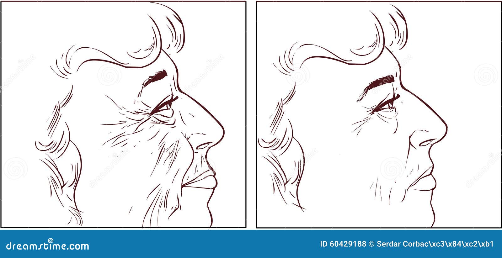 Face wrinkles stock vector. Illustration of pregnancy - 60429188