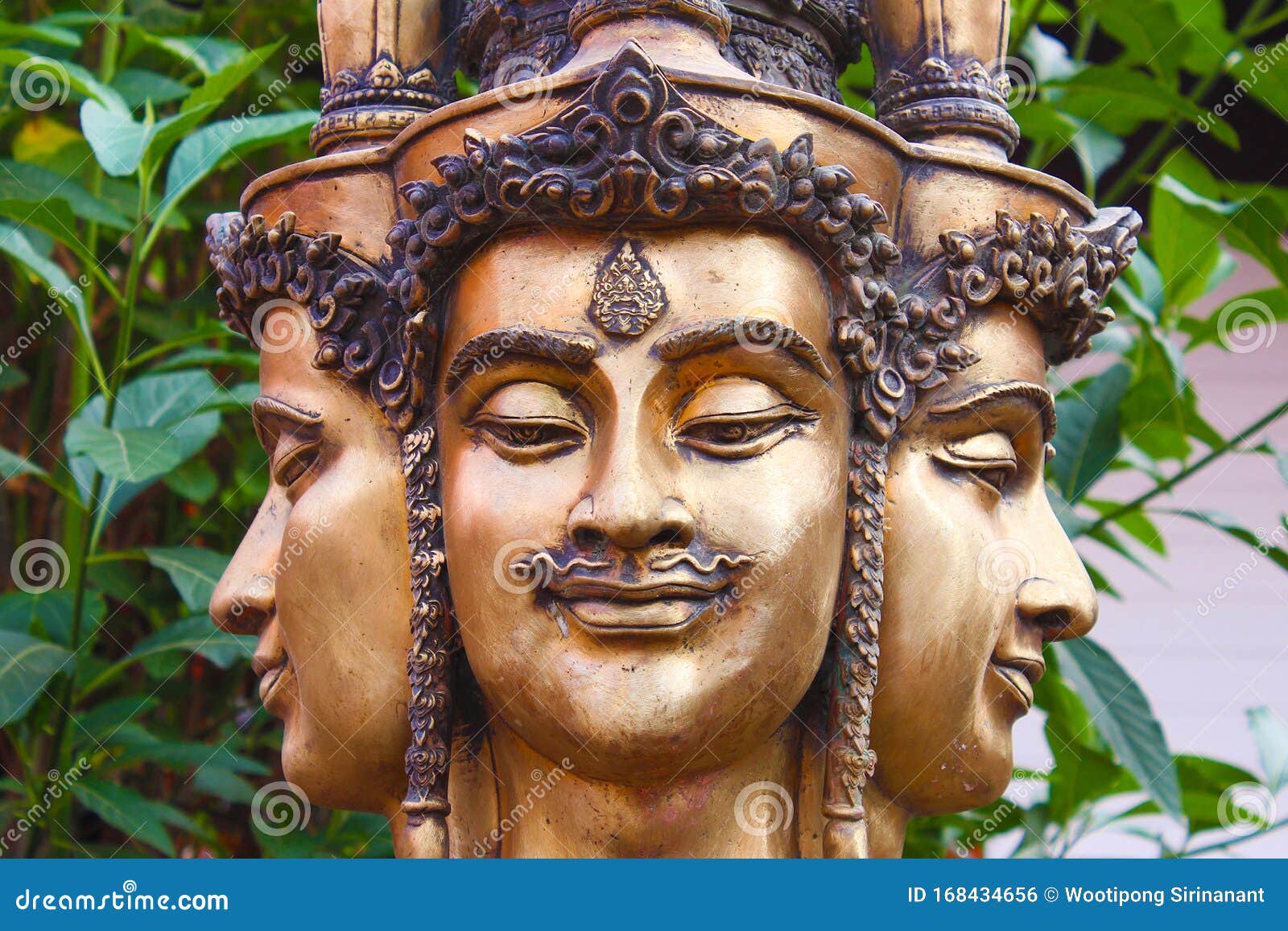 The faces of golden brahma stock photo. Image of colorful - 168434656