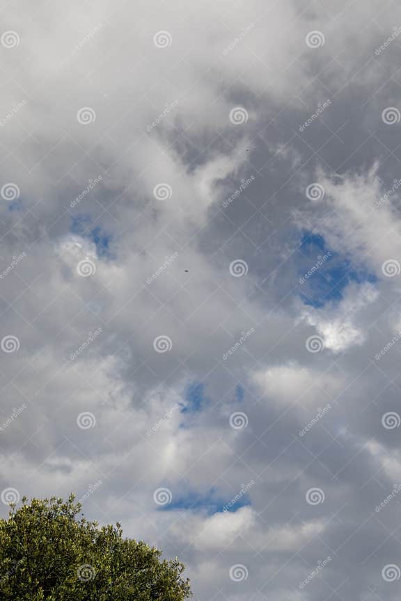 Shapes and Faces Spotted in the Clouds Stock Photo - Image of board ... Shapes and Faces Spotted in the Clouds Stock Photo - Image of board ...