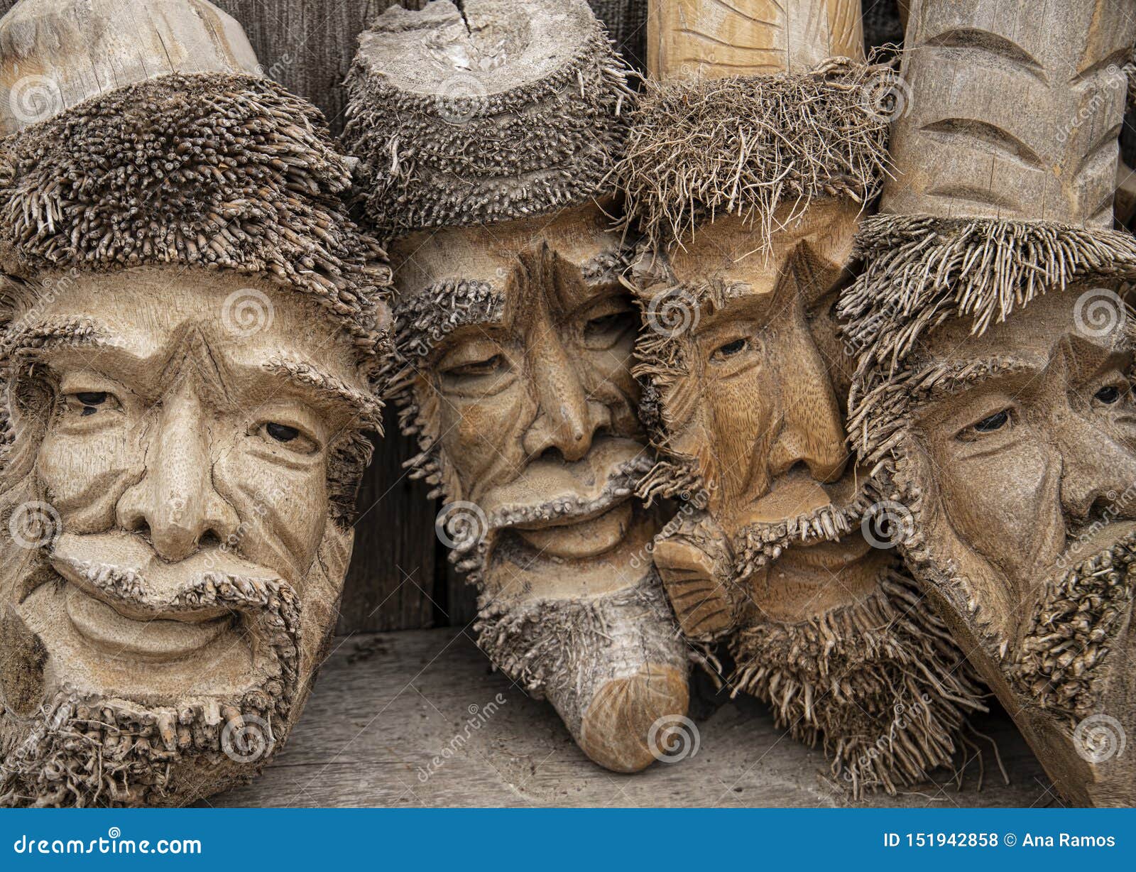 Faces stock photo. Image of blue, environment, forest - 151942858