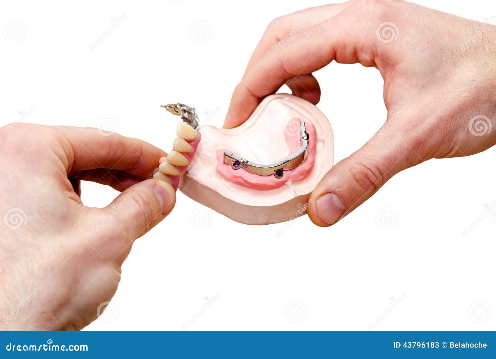 Facial Dental Prosthetic on White Background Stock Image - Image of ...
