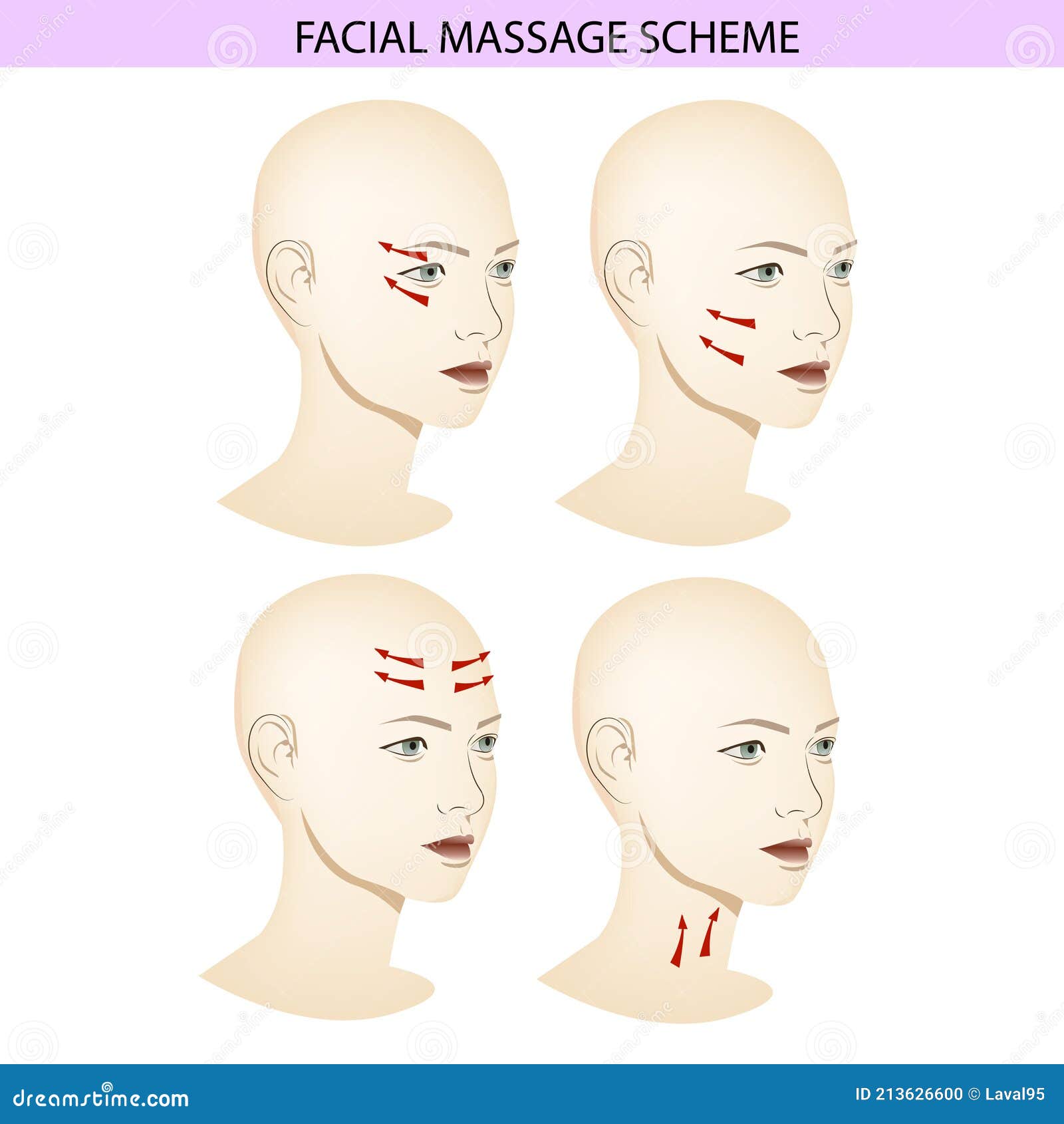 Facial Massage Scheme, Massage Visual Guide, Wind Illustration Stock ...