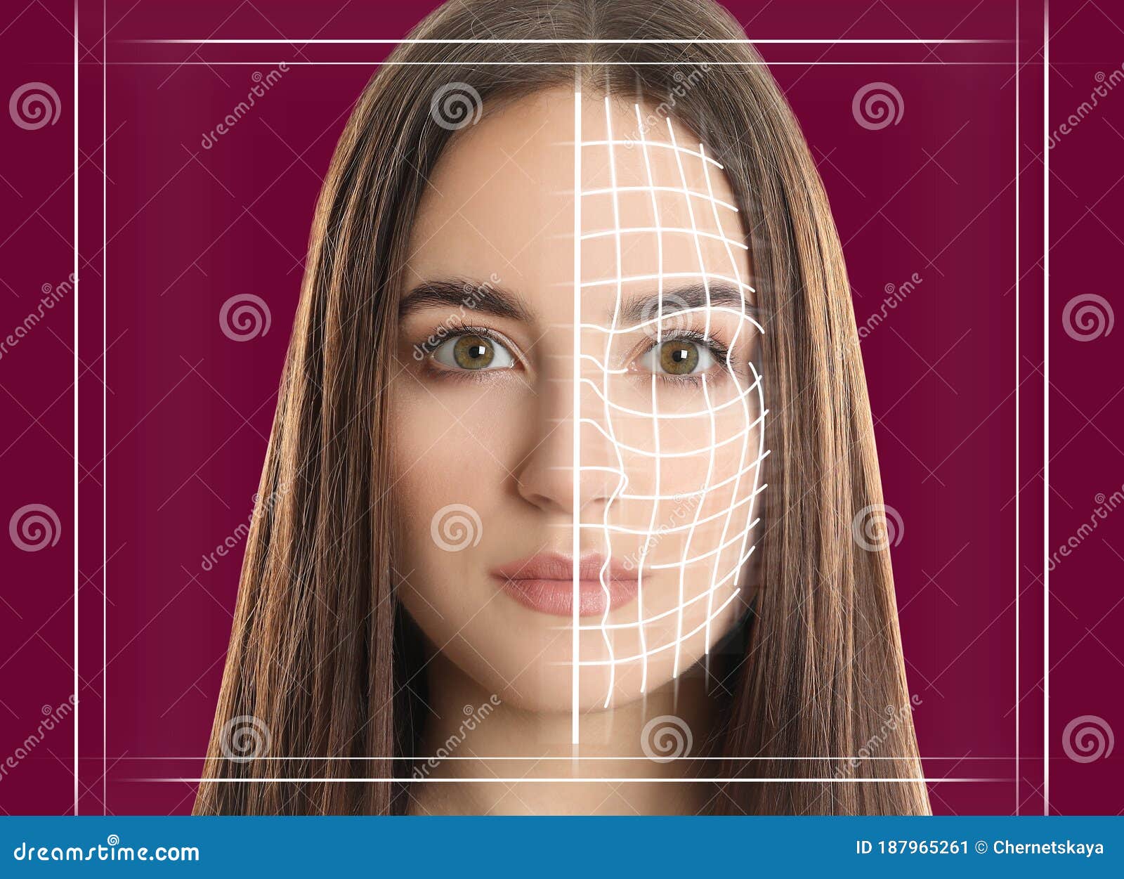 Facial Recognition System. Woman with Scanner Frame and Digital ...