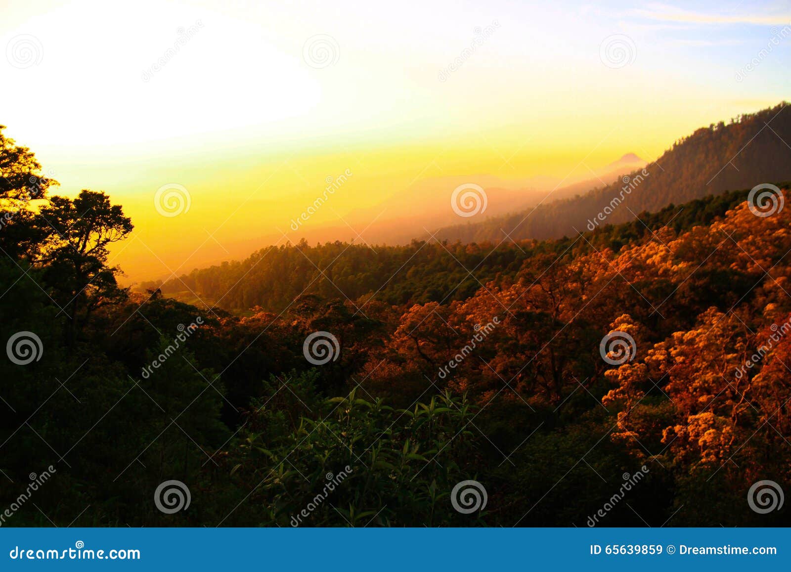 Facing a New Day from Mount Lawu Stock Image - Image of tawangmangu ...