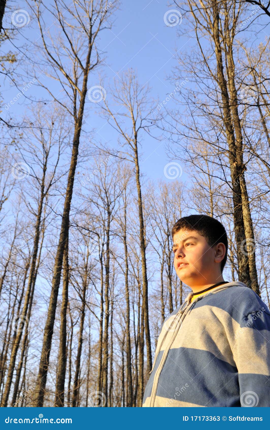 Facing young boy fall away stock image. Image of adorable - 17173363