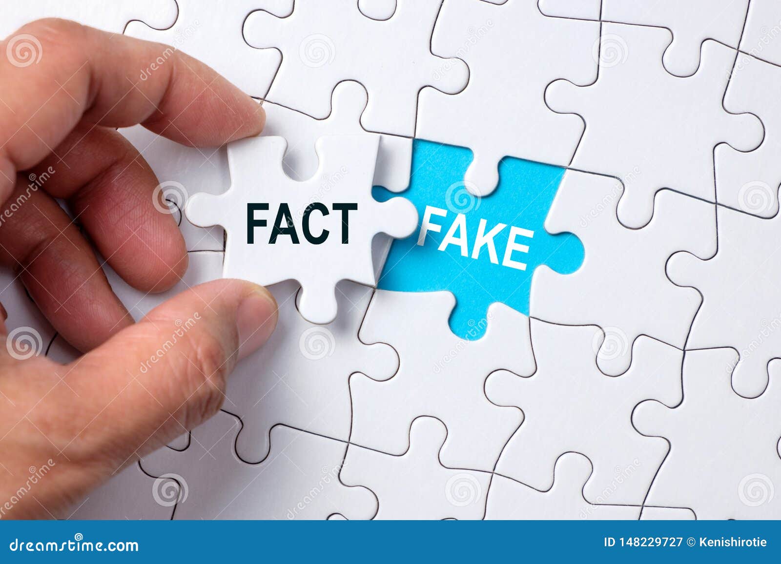 Fact and fake conceptual stock image. Image of real - 148229727