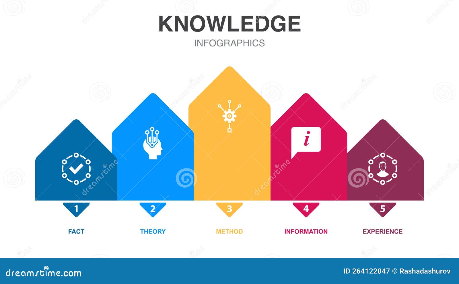 Fact, Theory, Method, Information Stock Vector - Illustration of flat ...