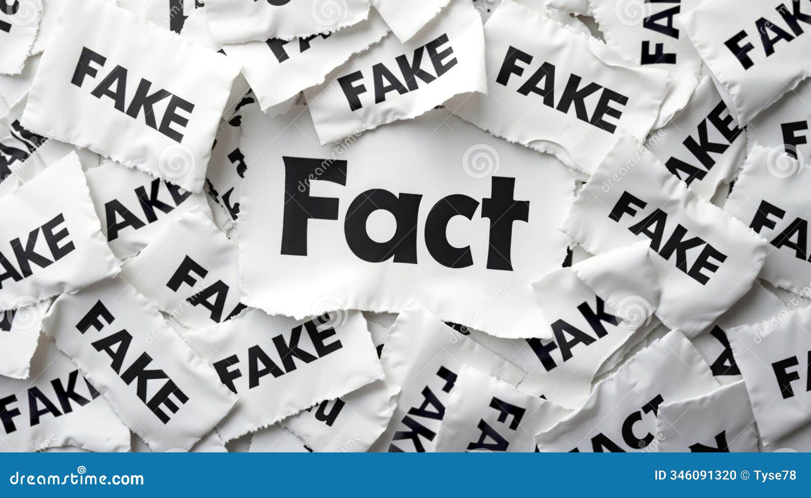 "Fact" and Torn "Fake" Labels on White Background Stock Illustration ...