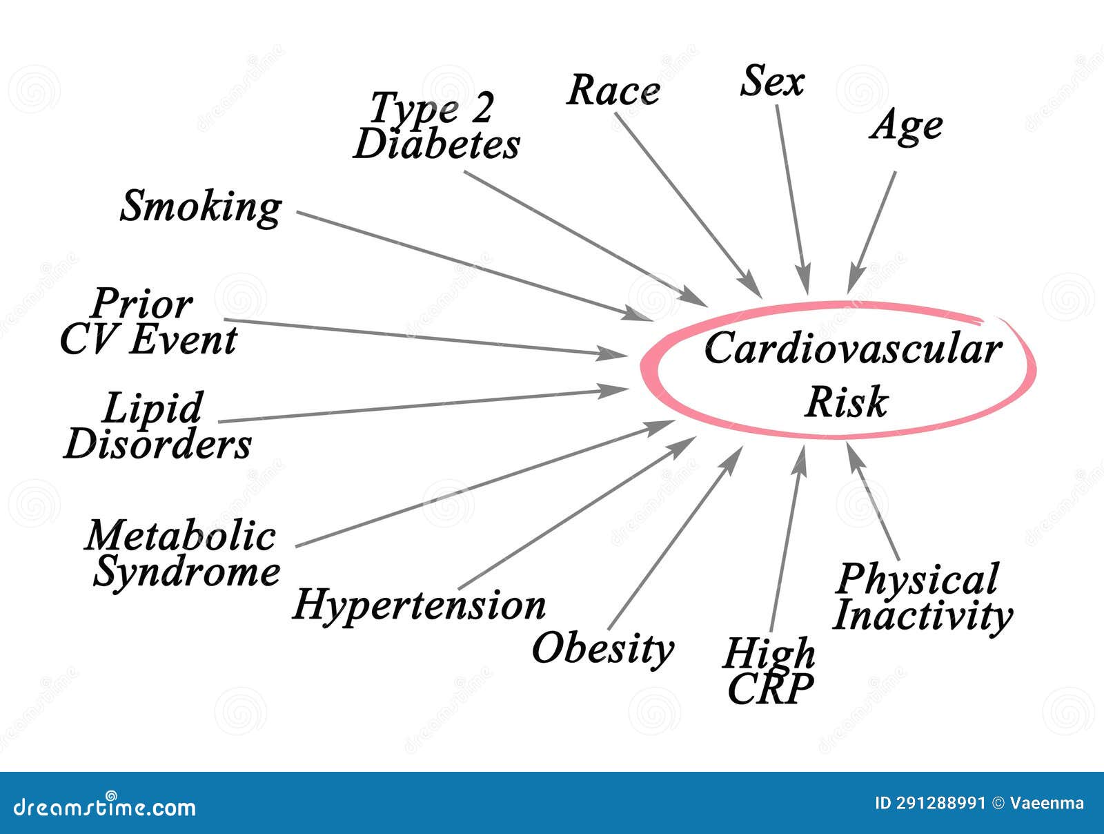 Factores Determinantes Del Riesgo Cardiovascular Stock de ilustración ...