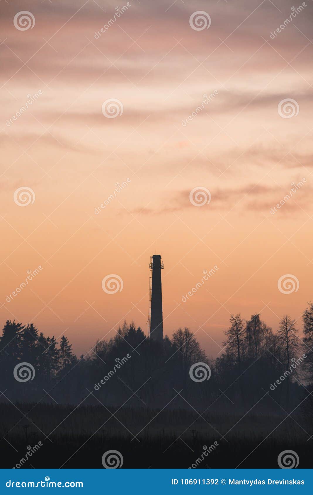 Factory Chimney in Forest at Sunset Stock Photo - Image of greenpeace ...