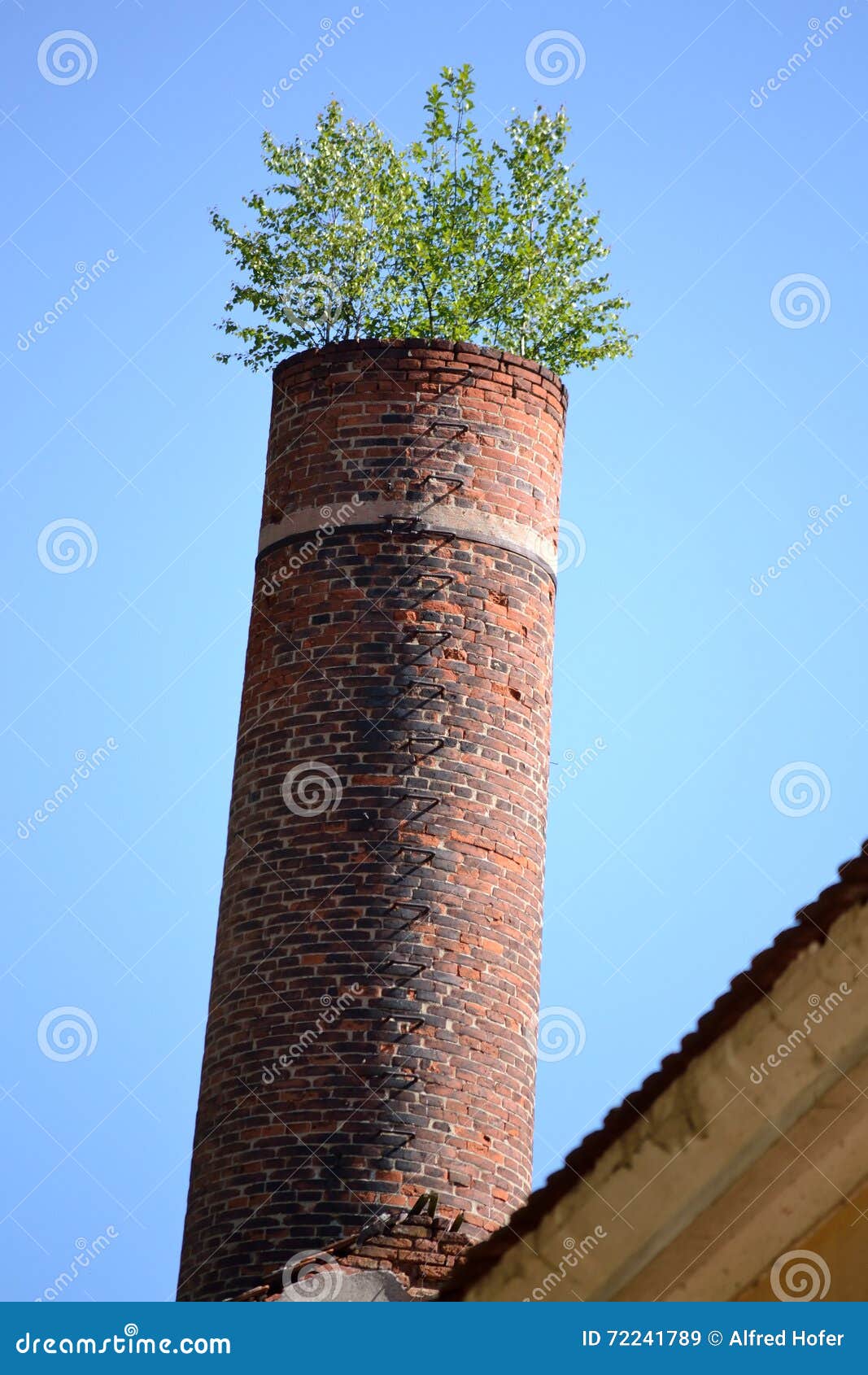 From Factory Chimney Grow Trees Stock Image - Image of grow, chimney ...