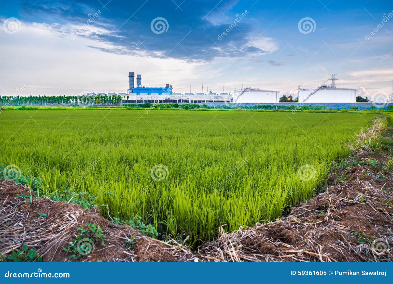 The factory and field stock image. Image of factory, nature - 59361605