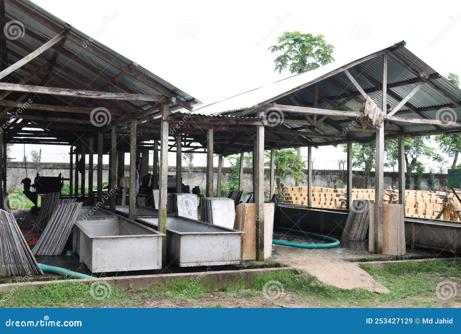 A Factory of Natural Raw Rubber for Processing Stock Image - Image of ...