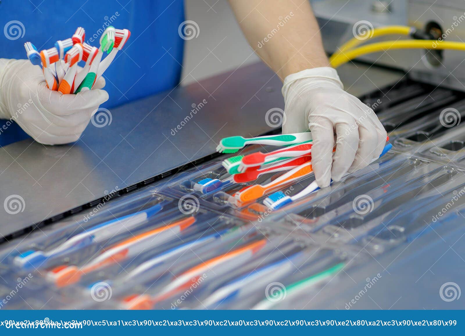 The Factory Produces and Packages Toothbrushes of Different Colors ...