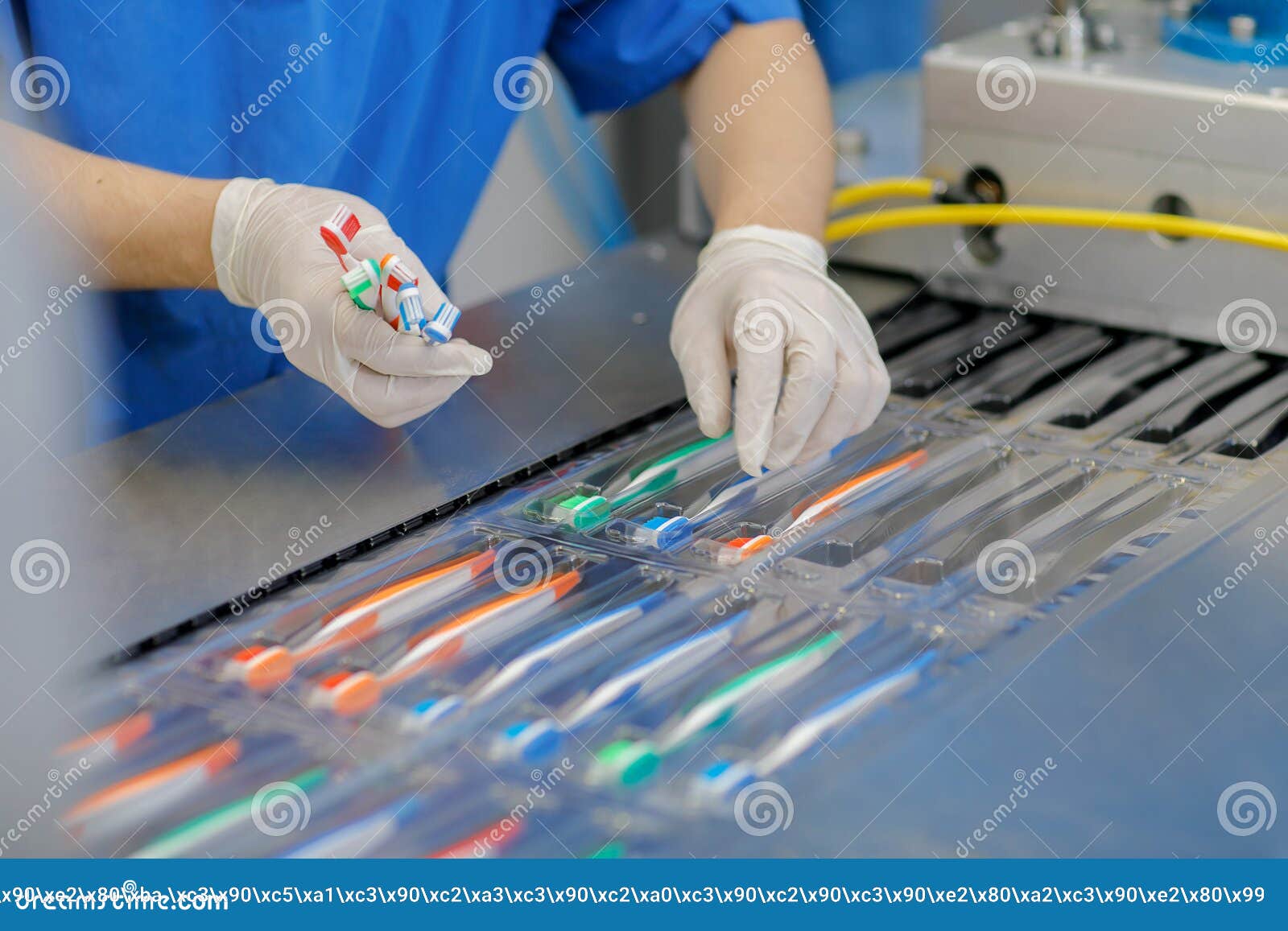 The Factory Produces and Packages Toothbrushes of Different Colors ...