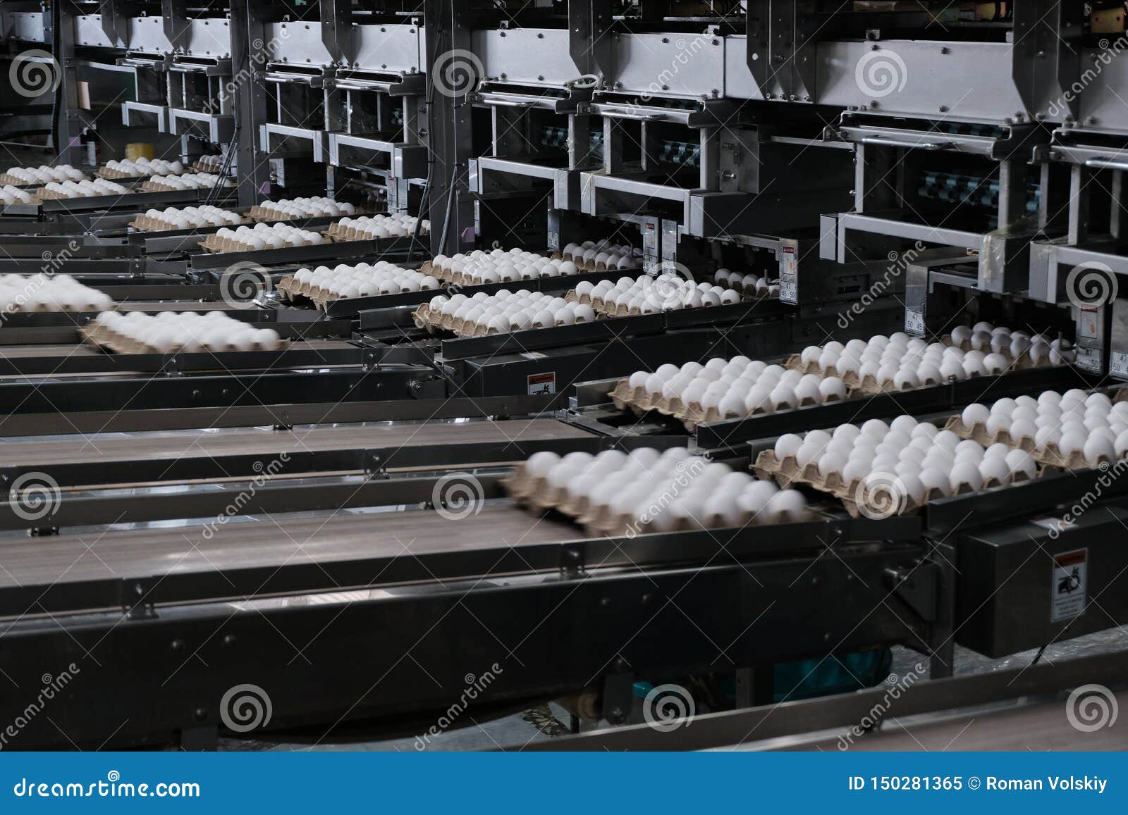 Factory for the Production and Packaging of Chicken Eggs. Modern Food ...