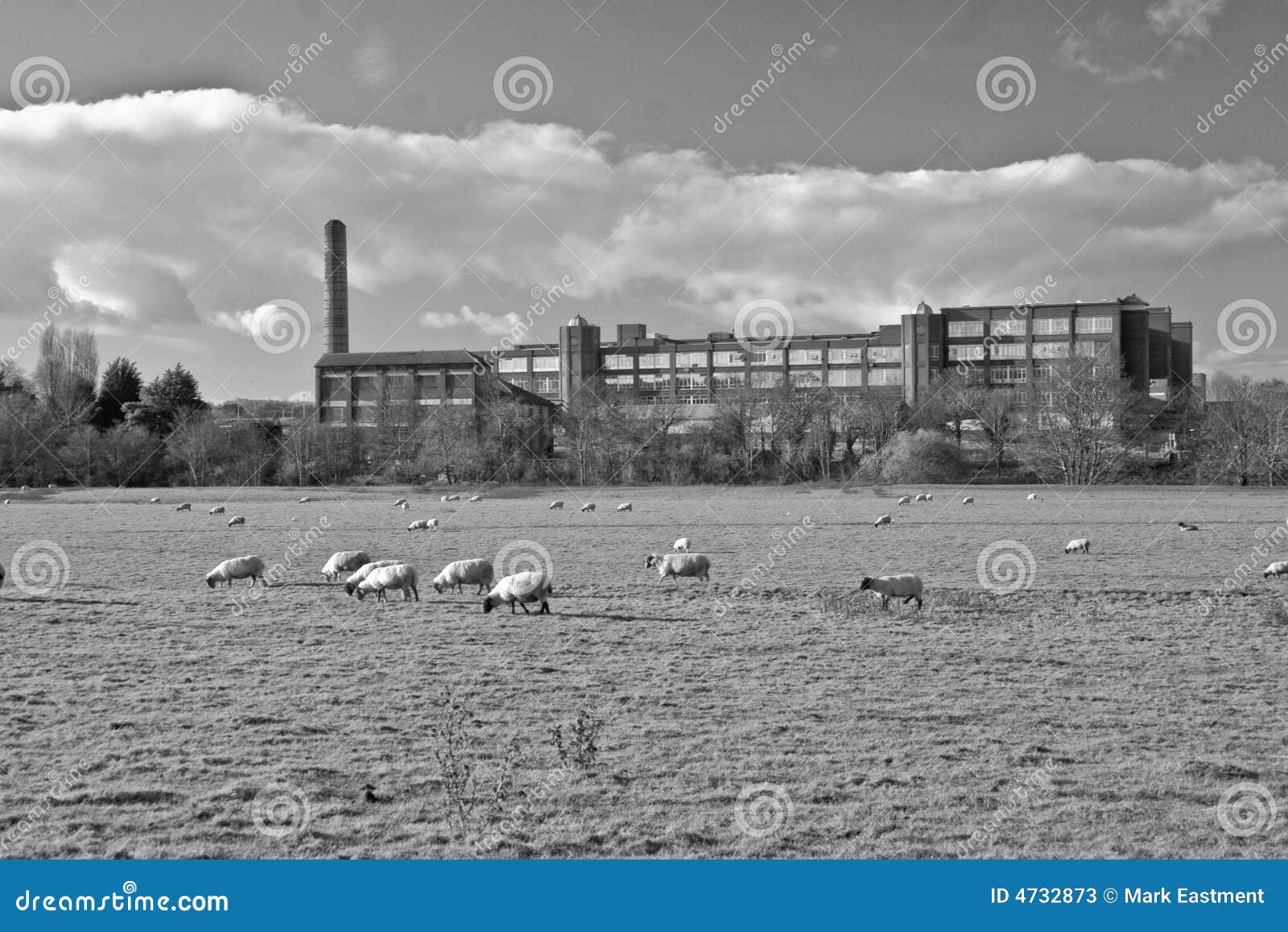 Factory and sheep stock image. Image of environment, building - 4732873