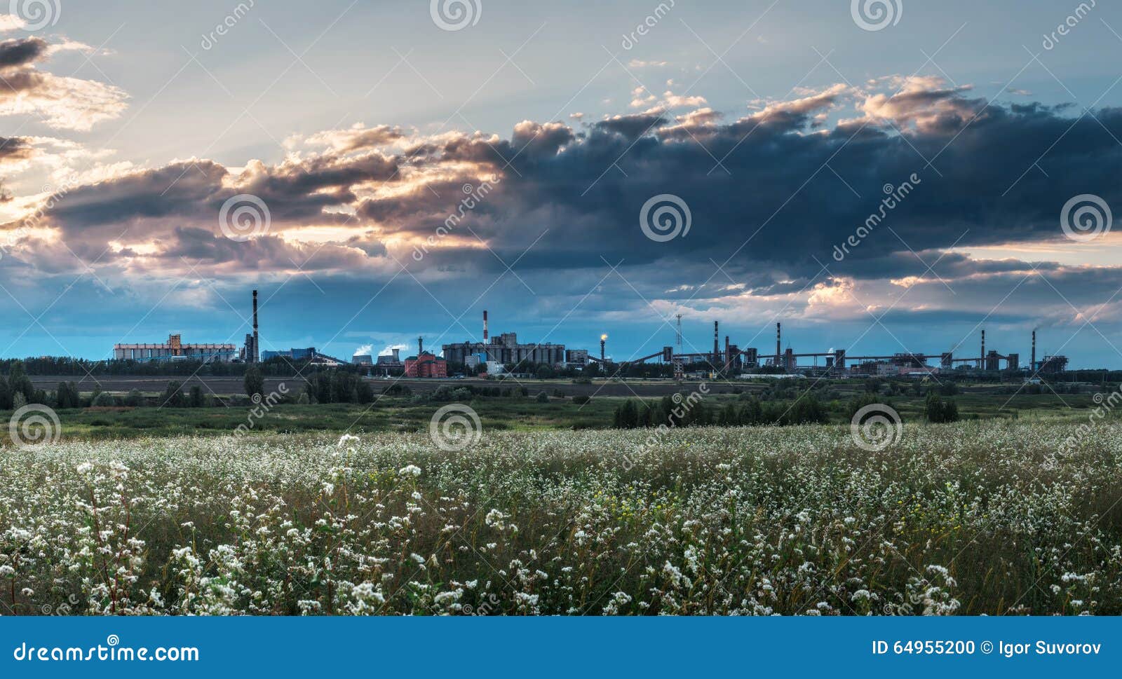 Factory at Sunset with Grass Stock Photo - Image of industrial, grass ...