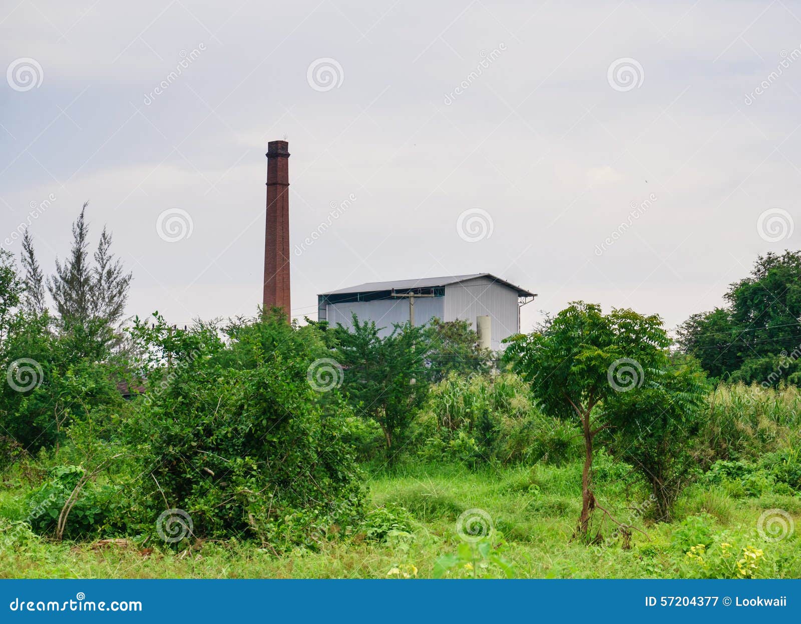 Factory Surrounded by Trees in a Forest Stock Image - Image of building ...