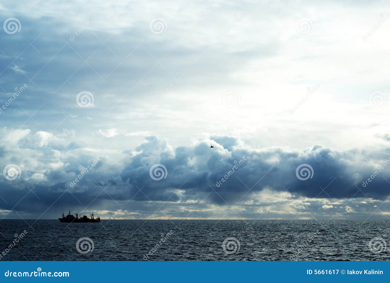 Factory vessel stock image. Image of bird, atlantic, water - 5661617