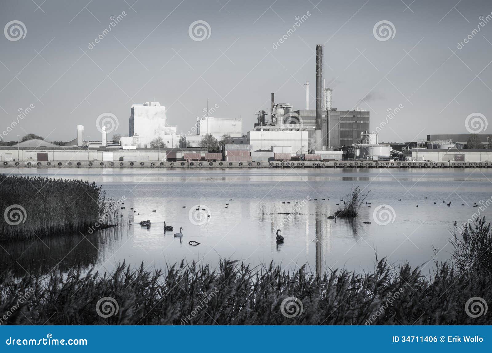 Factory and wildlife stock photo. Image of building, lake - 34711406