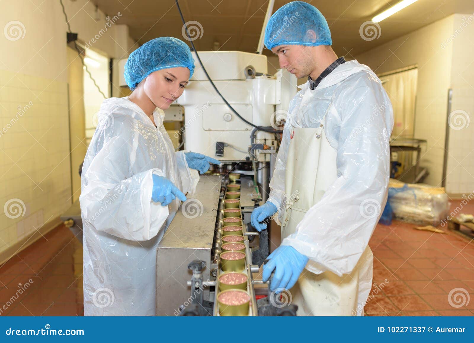 Factory Worker Checking Food Stock Image - Image of room, people: 102271337