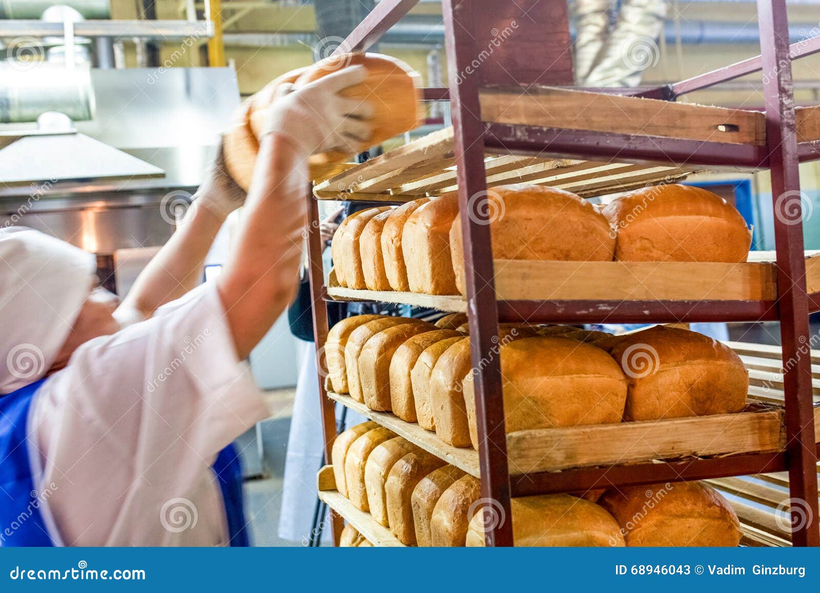 Factory Worker Puts Bread on the Shelves Stock Image - Image of factory ...