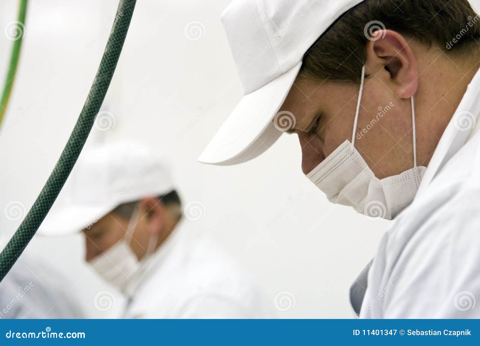 Factory workers stock image. Image of line, white, production - 11401347