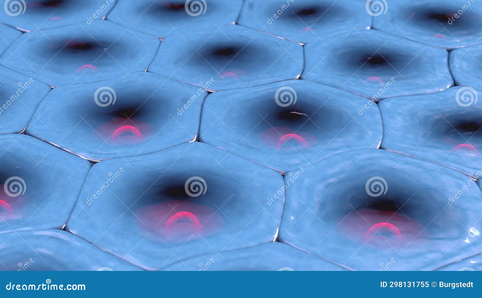 Fade Over a Cell Pattern of Hexagonal Cells with Red Nuclei Stock Video ...