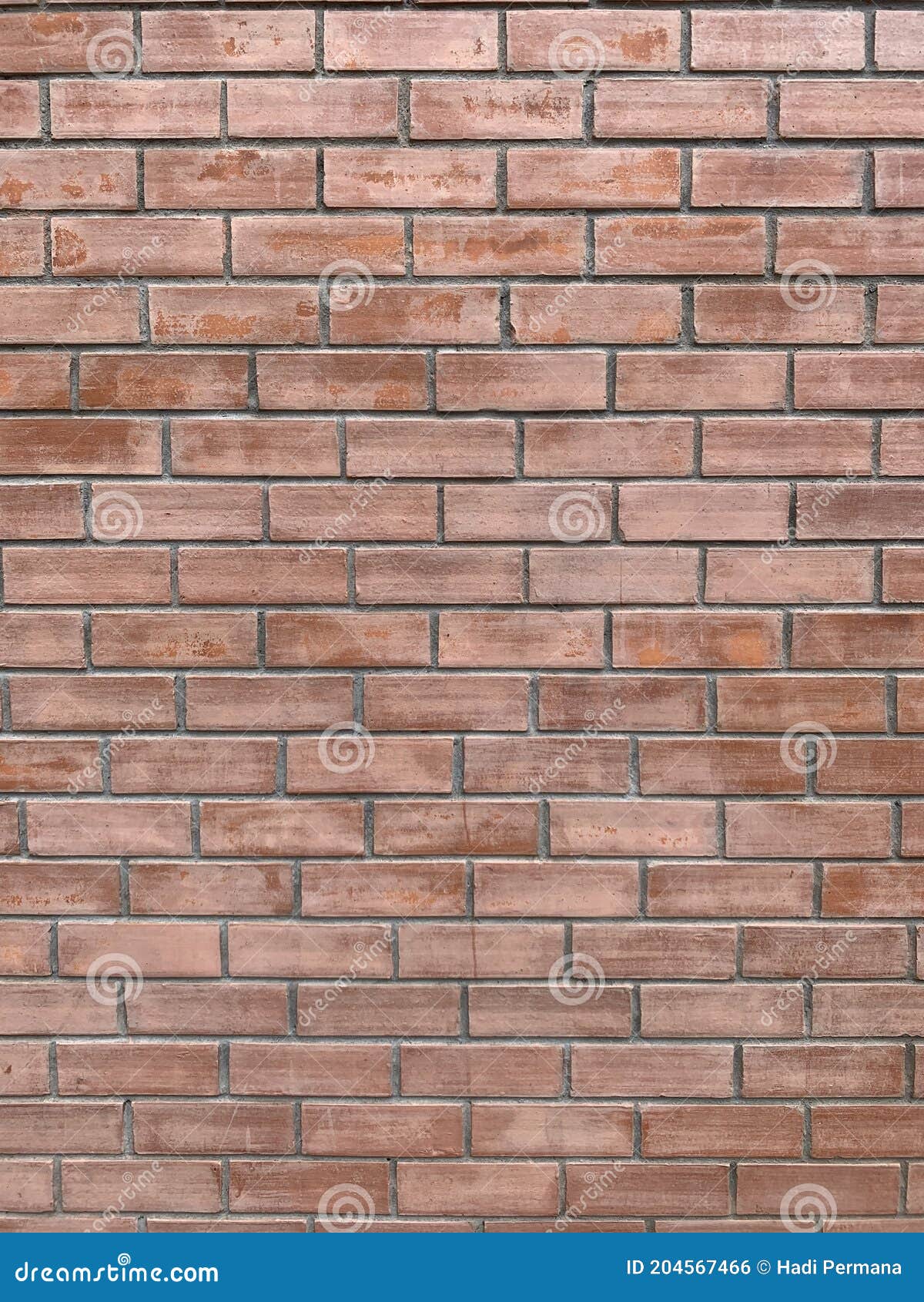 Faded brick wall stock photo. Image of brick, faded - 204567466