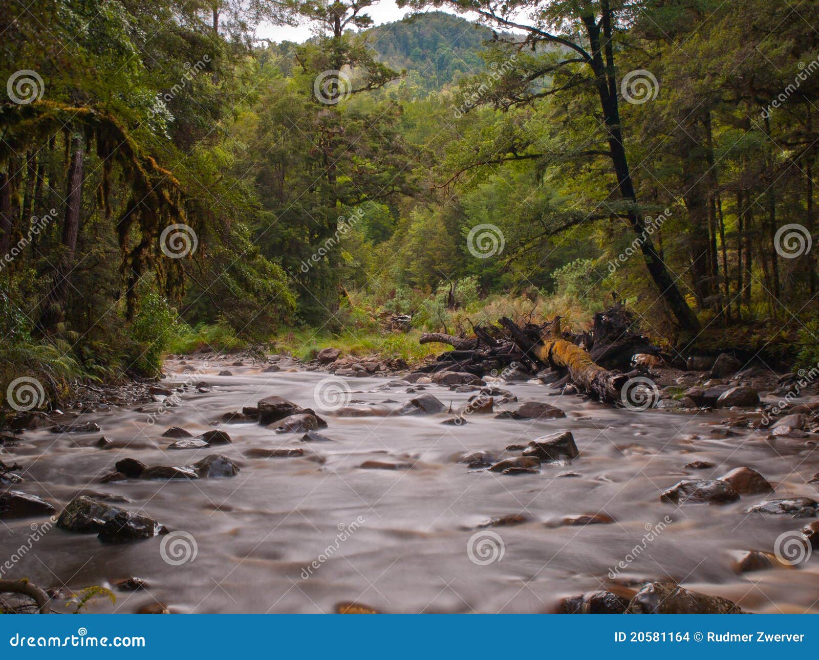 Faded forest stream stock photo. Image of nature, fade - 20581164