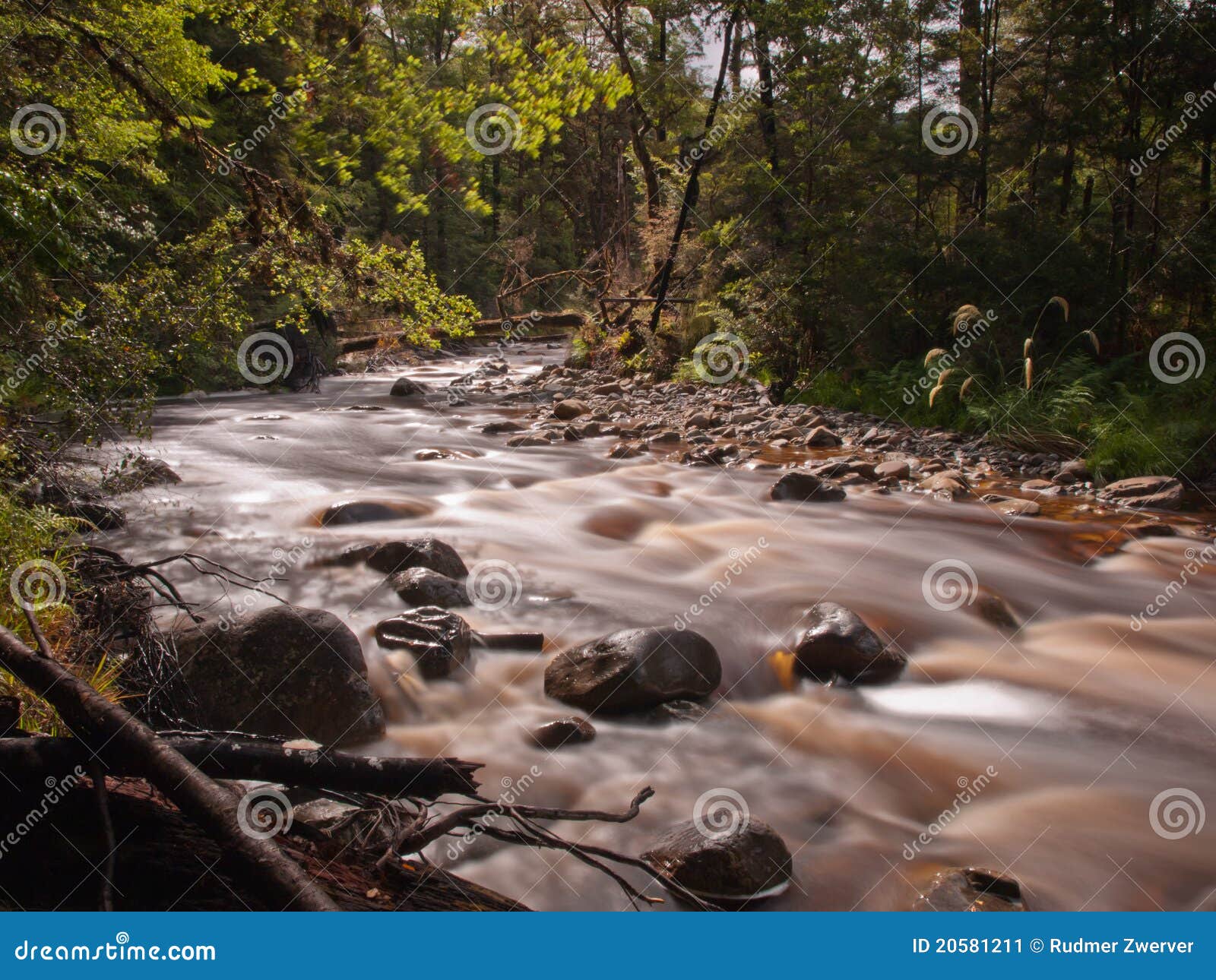 Faded forest stream stock image. Image of river, blurred - 20581211