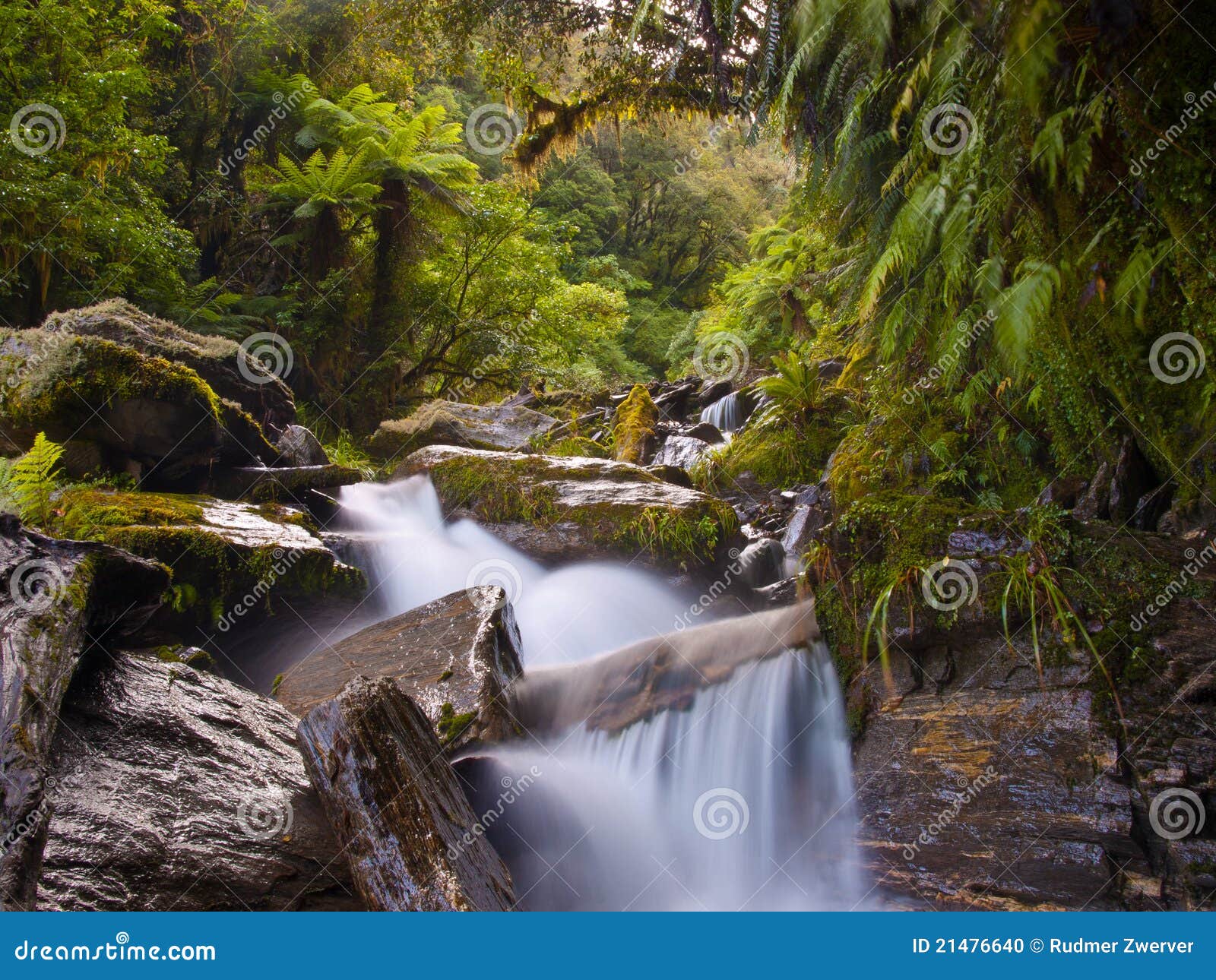 Faded forest stream stock photo. Image of creek, morning - 21476640