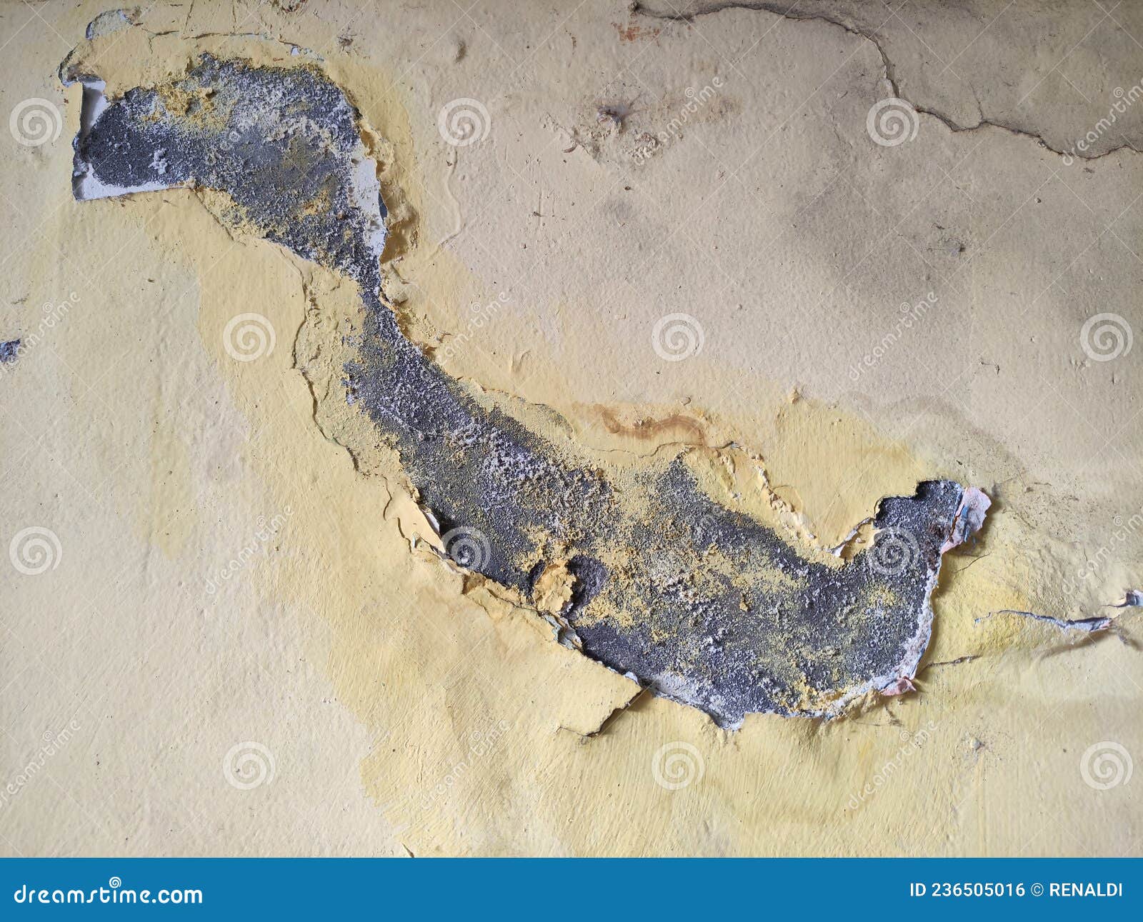 Faded paint on the wall stock photo. Image of white - 236505016