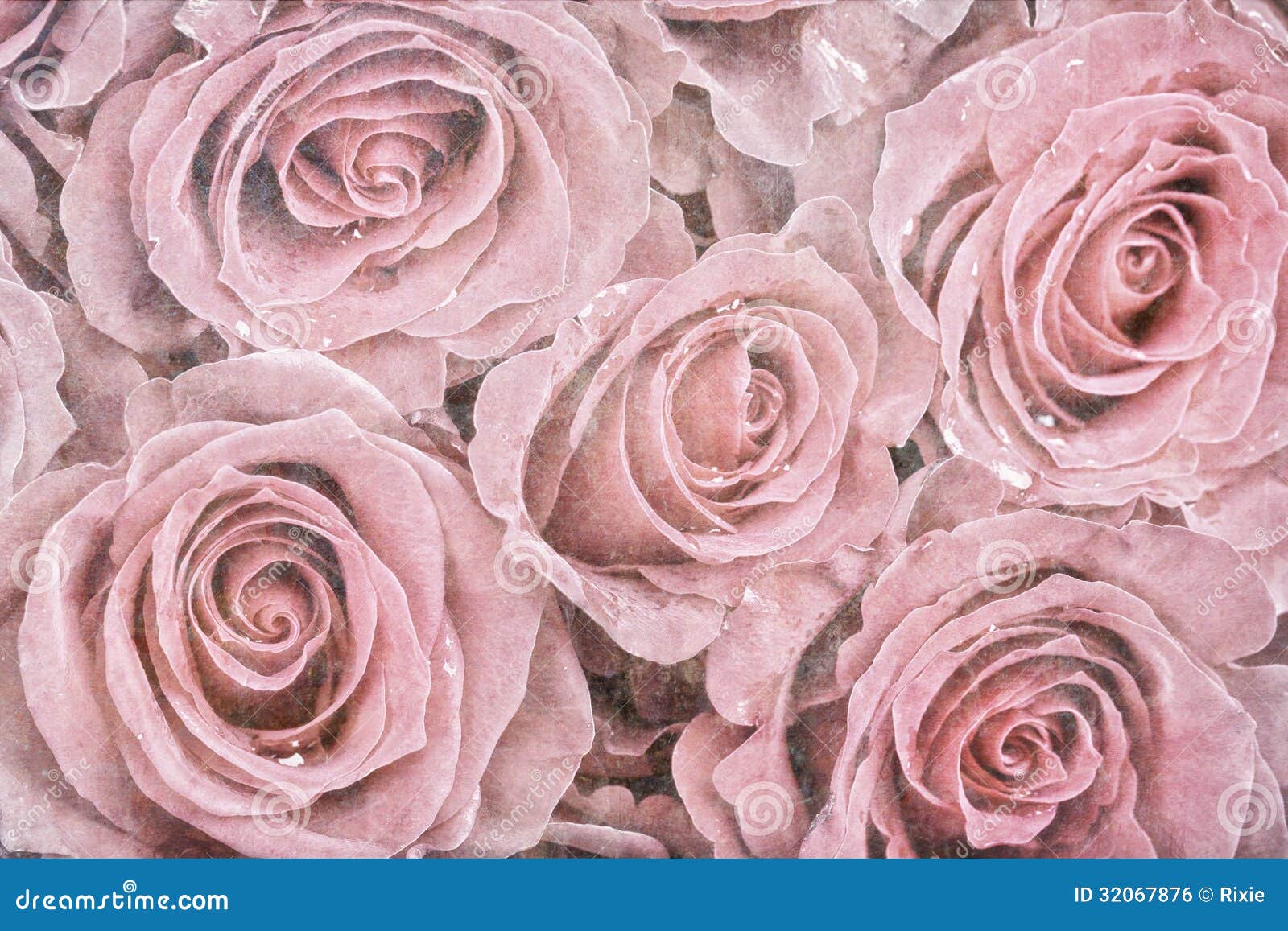 Faded roses stock photo. Image of decorative, antique - 32067876