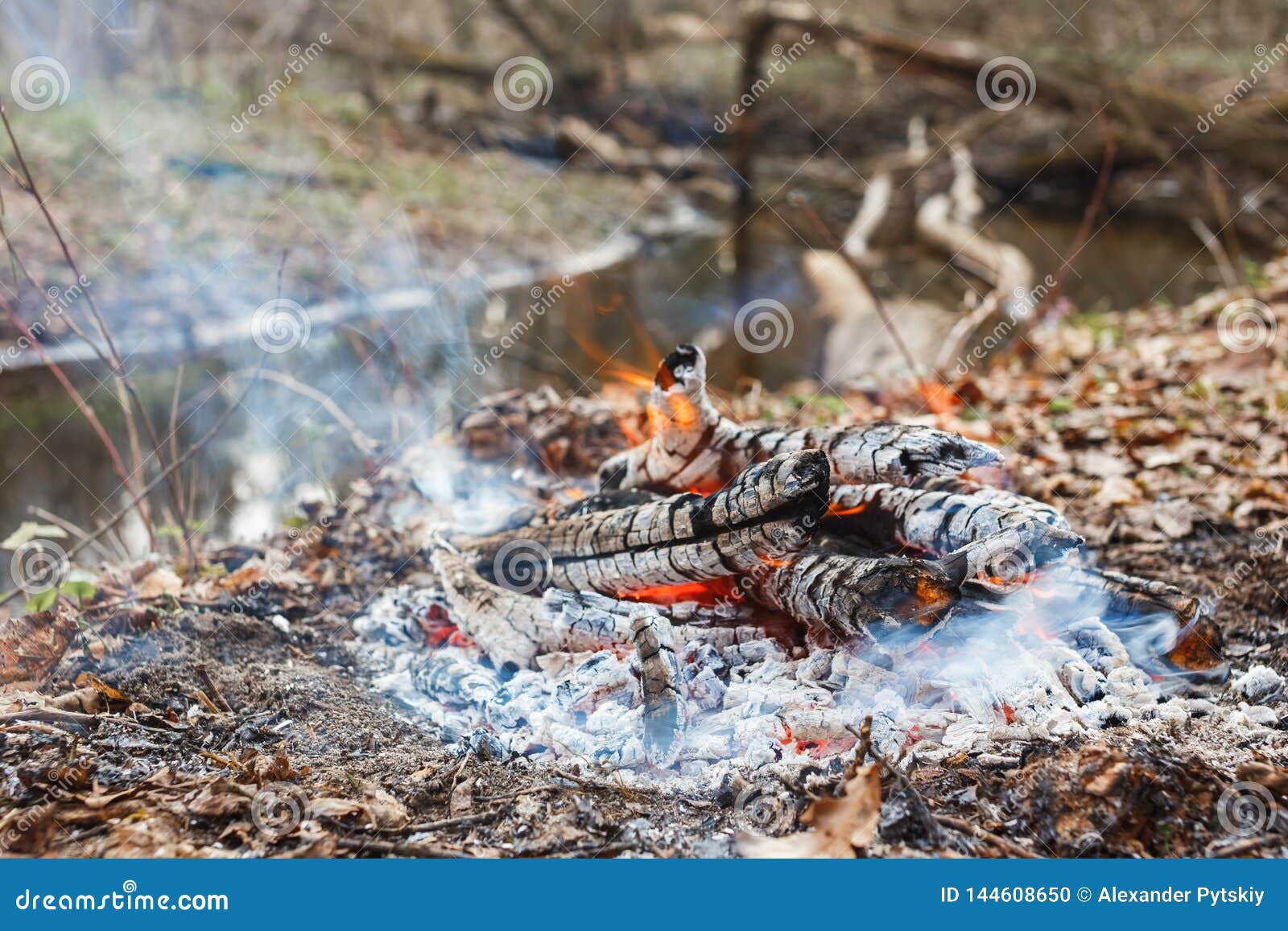 Fading Fire on a Forest River in the Evening Stock Photo - Image of ...