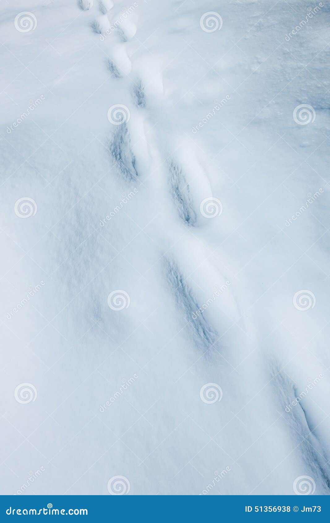 Fading Footprints in the Snow Stock Photo - Image of step, path: 51356938