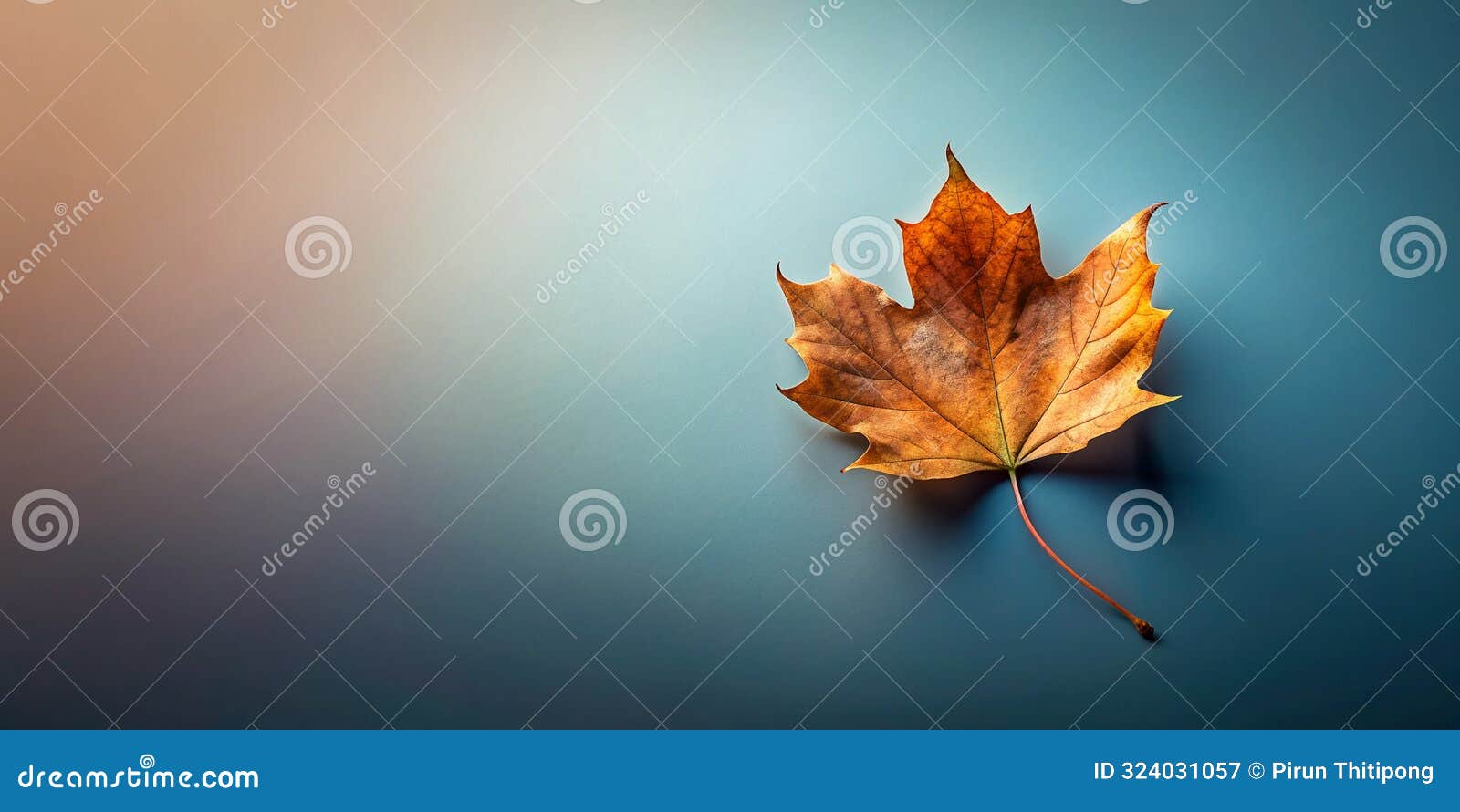 Generative AI, Fading Horizons: Capturing The Urgency Of Climate Change ...