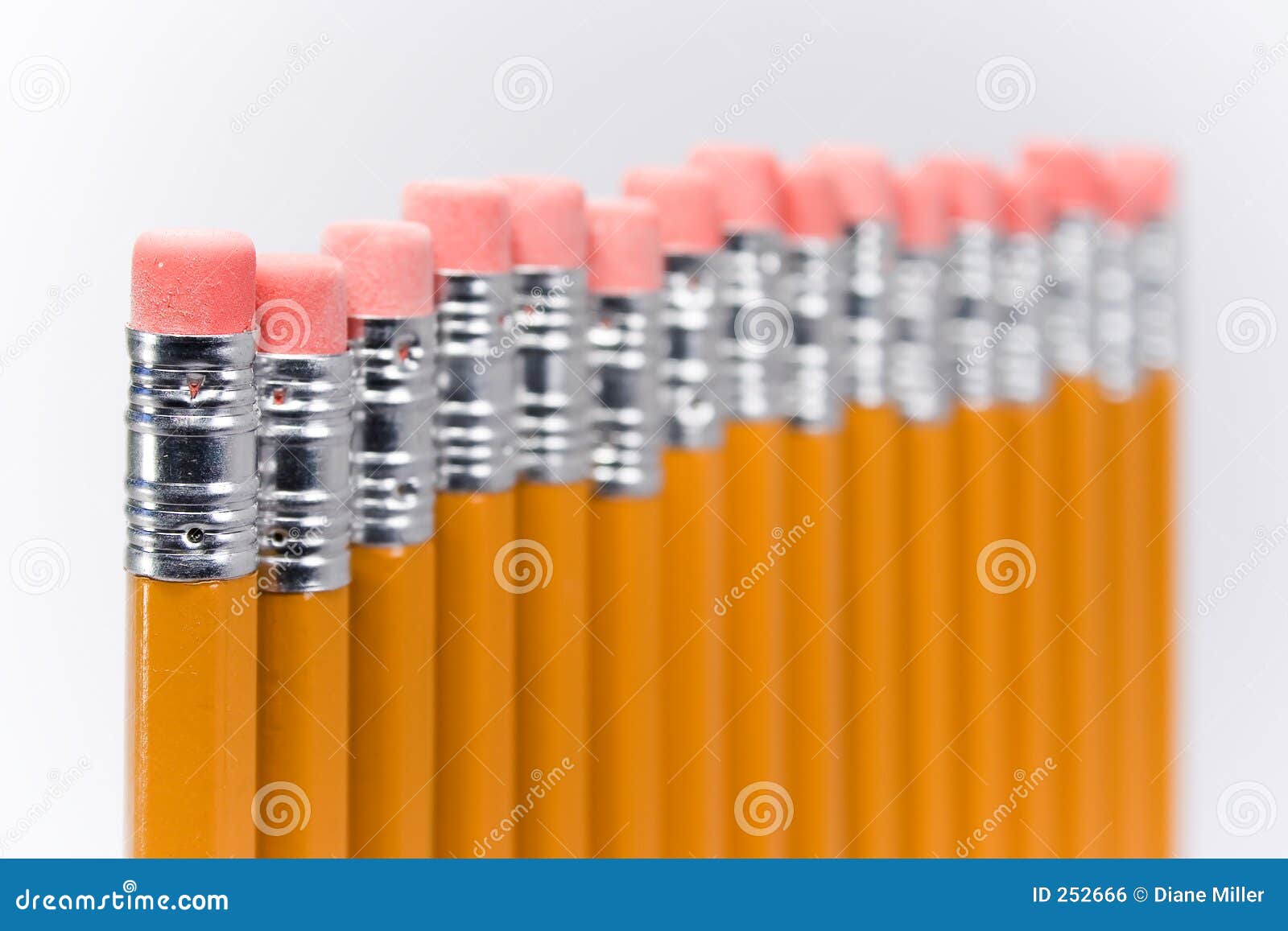 Fading pencils stock photo. Image of school, required, group - 252666