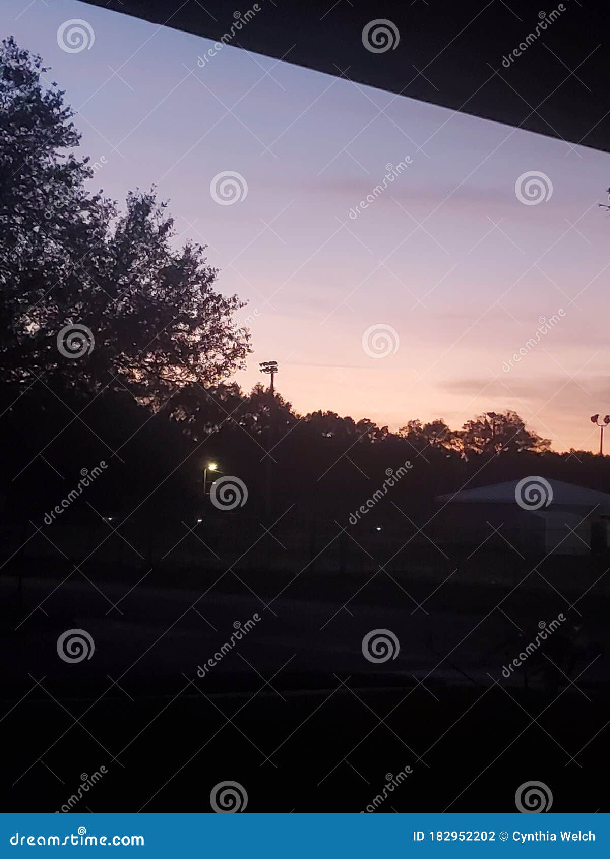 Fading Sunlight at Treeline Stock Photo - Image of sunlight, pink ...