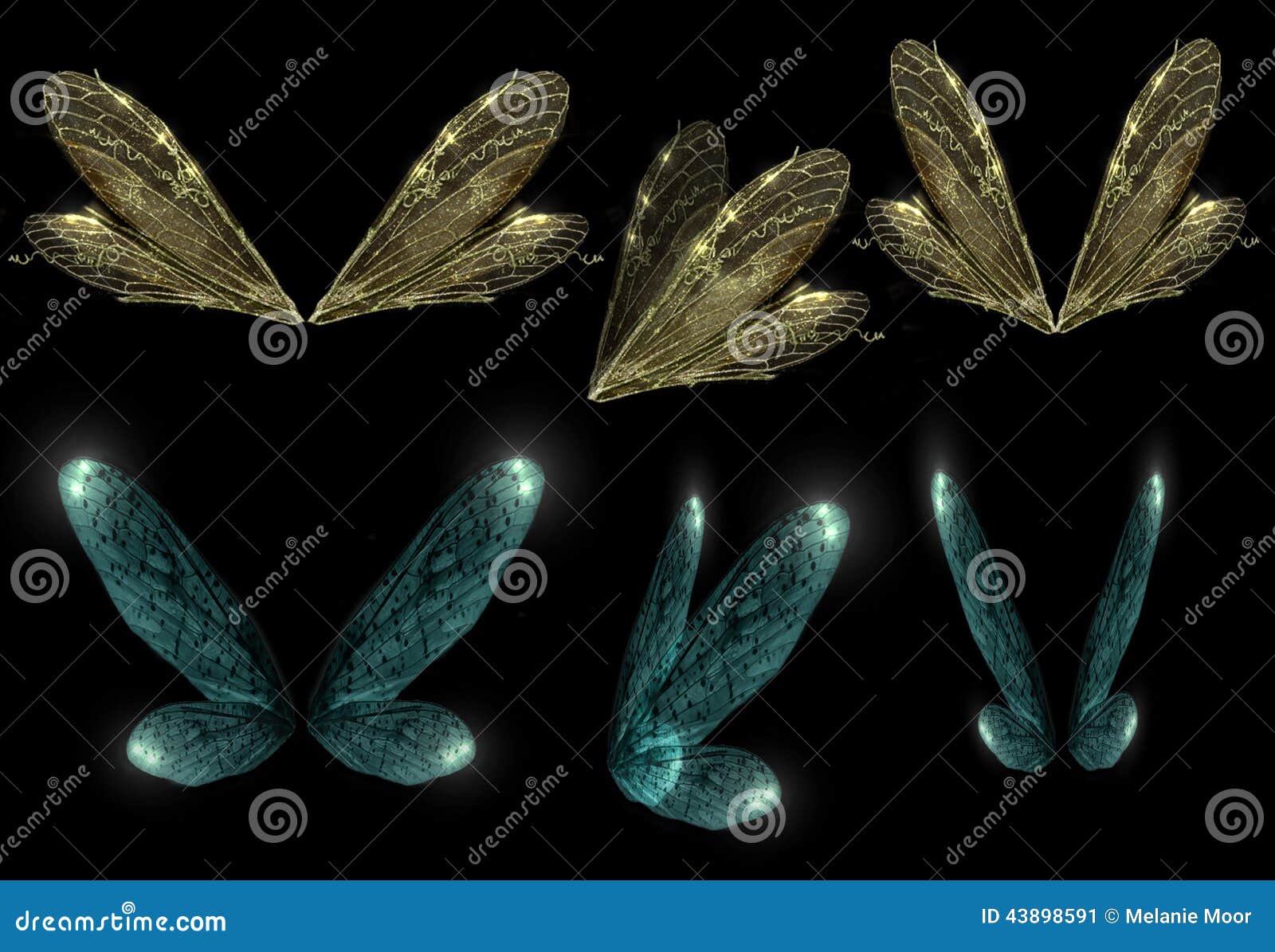Faerie Wings stock image. Image of faerie, enchantment - 43898591 Faerie Wings stock image. Image of faerie, enchantment - 43898591