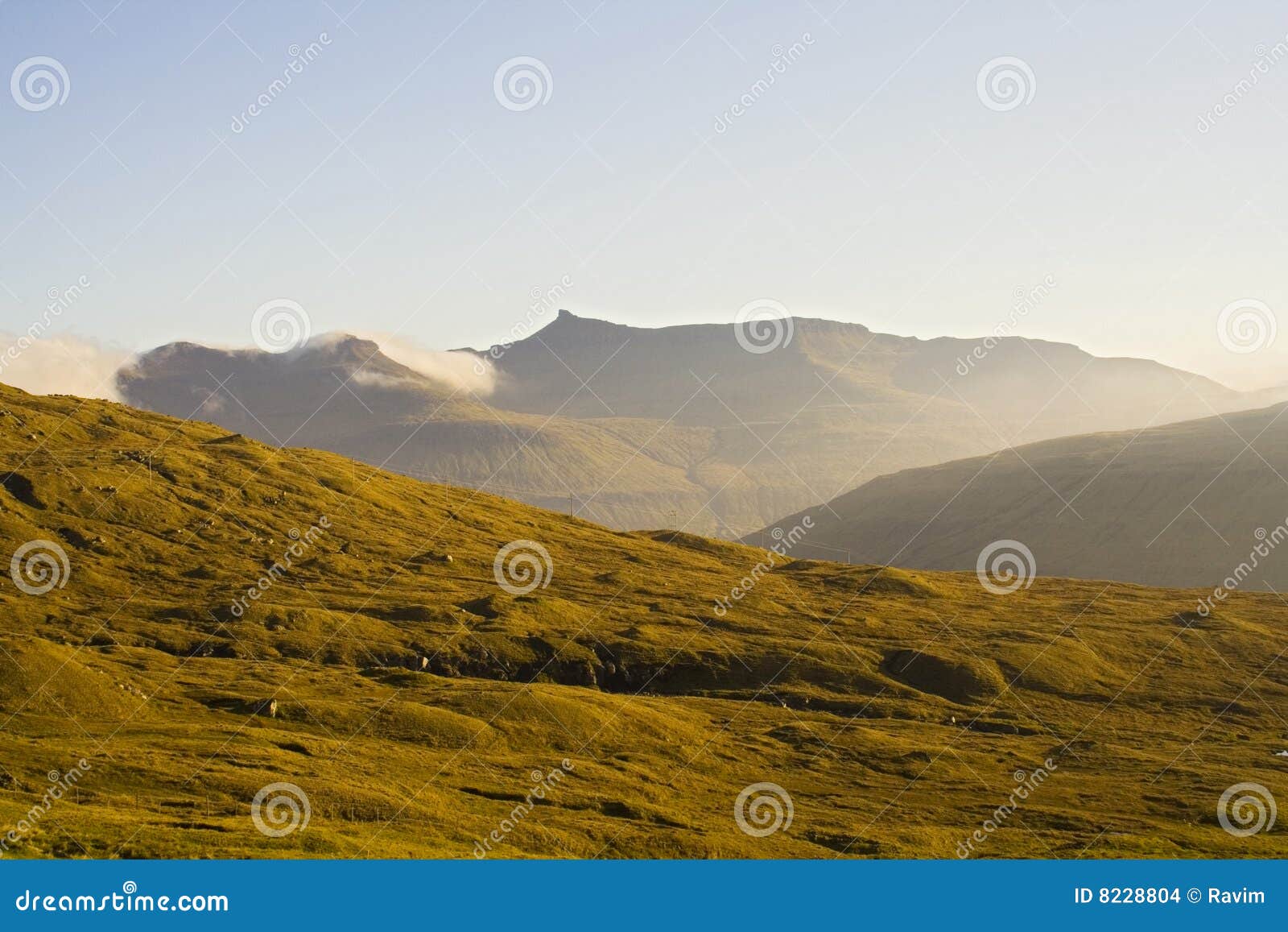 Faeroe Islands stock photo. Image of pasture, green, hill - 8228804