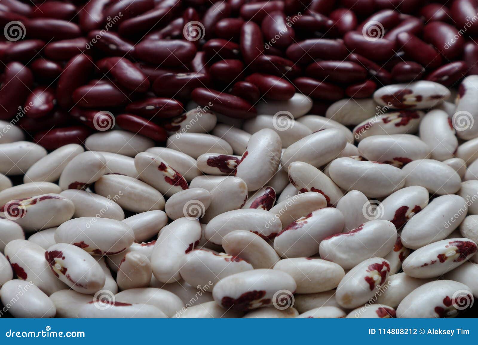 Fagioli Bianchi E Rossi Crudi Fotografia Stock - Immagine di gruppo ...