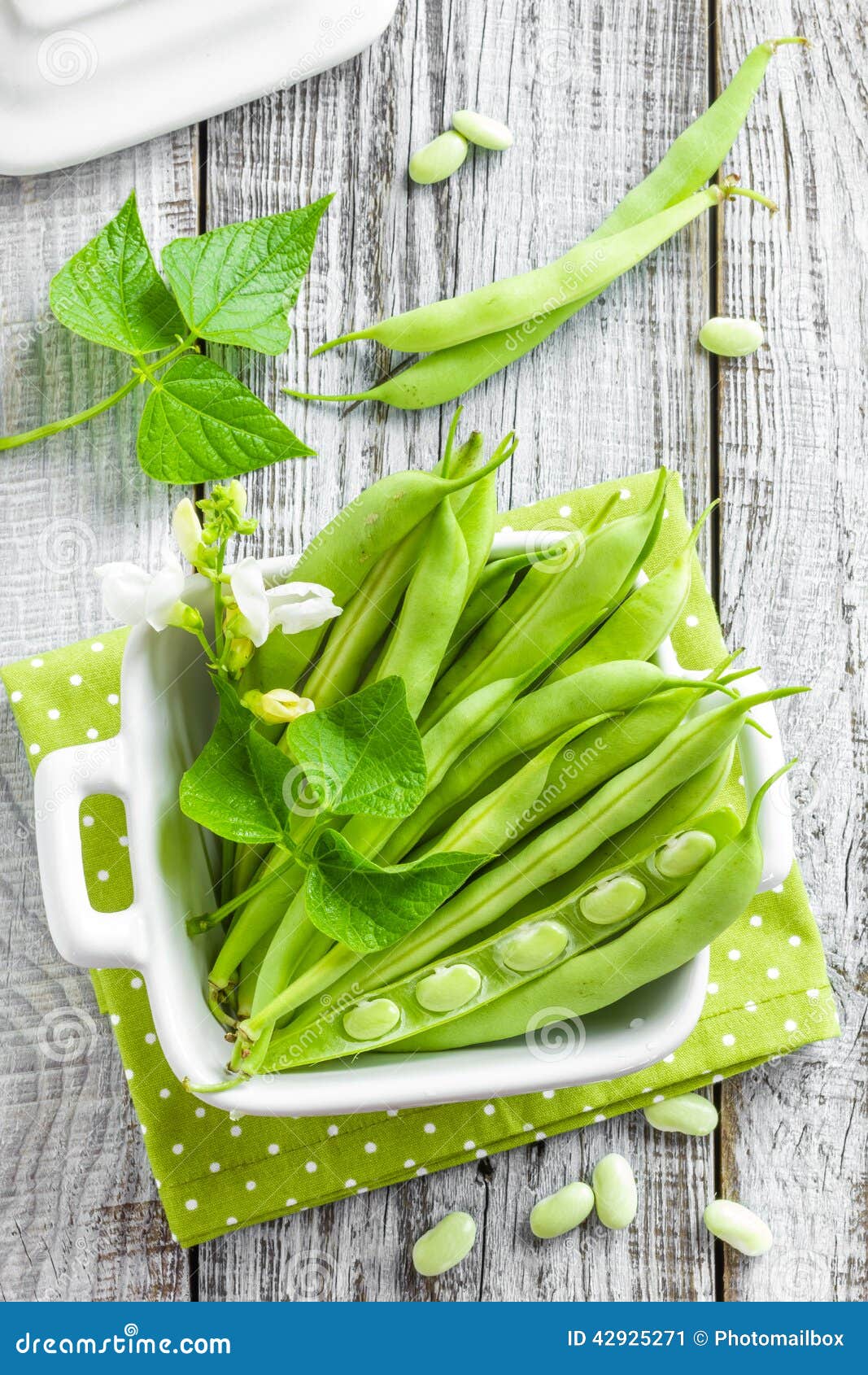 Fagioli freschi immagine stock. Immagine di fresco, rene - 42925271