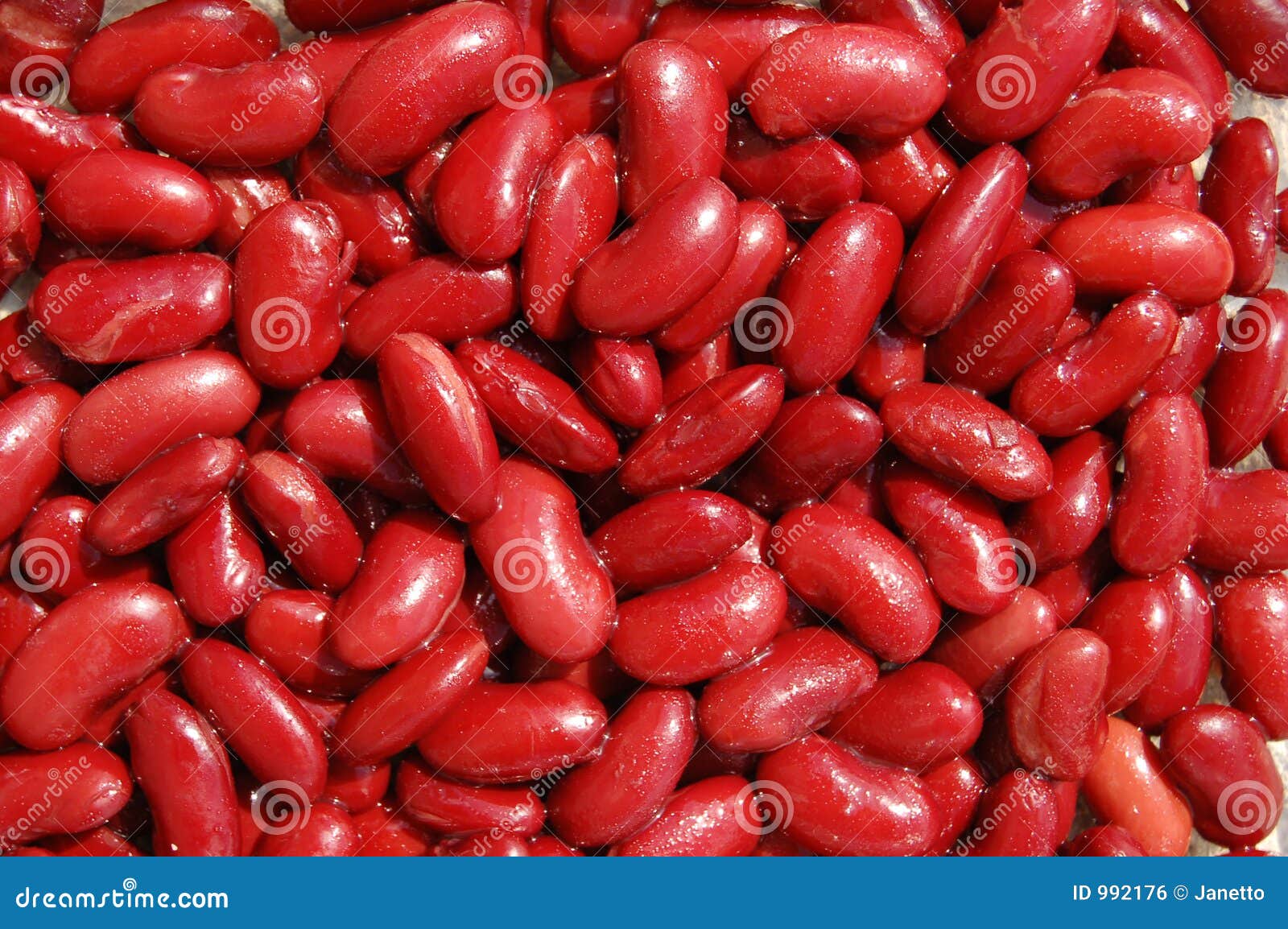 Fagioli nani rossi fotografia stock. Immagine di rene, colore - 992176