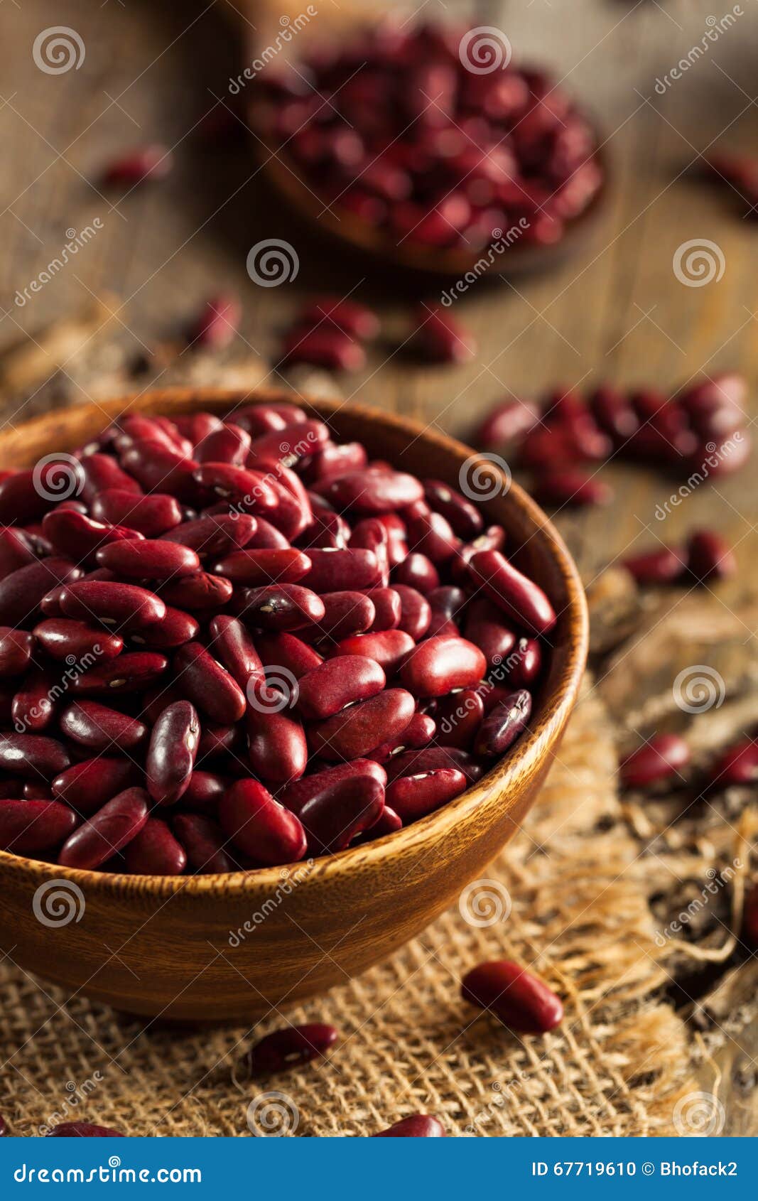Fagioli Organici Rossi Crudi Fotografia Stock - Immagine di sano ...