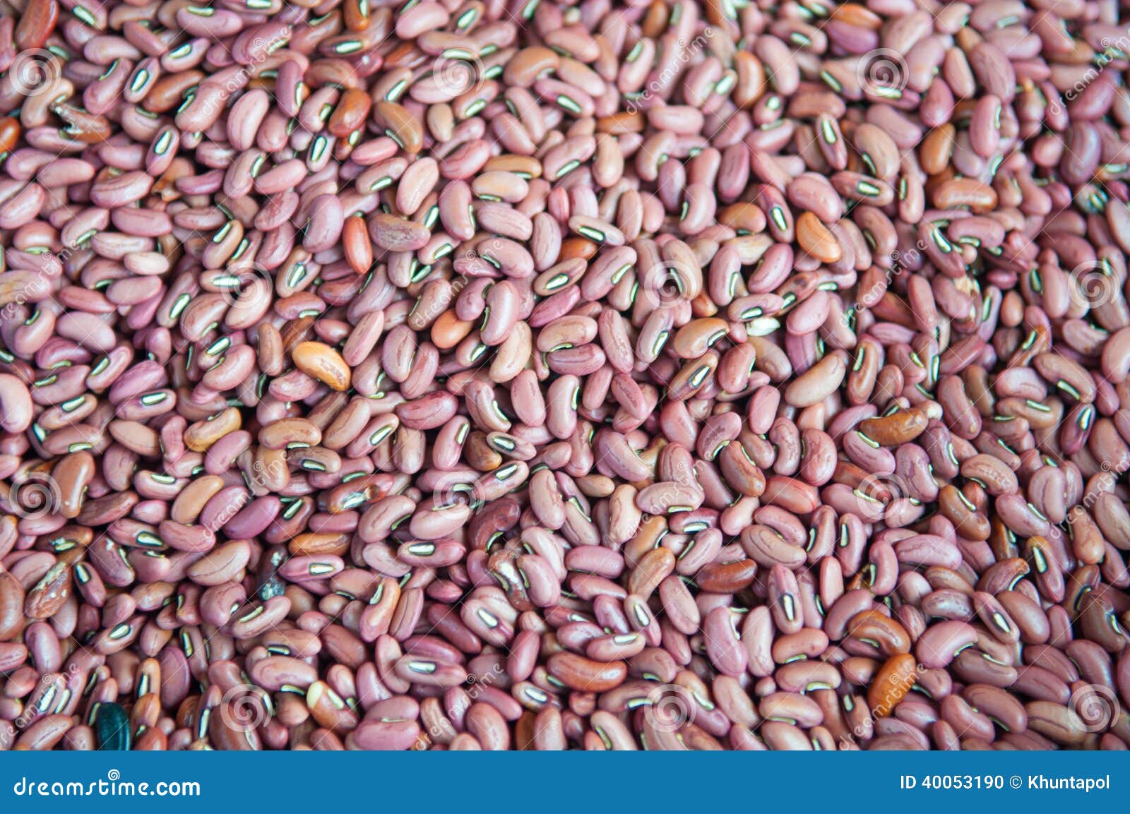 Fagioli rossi alti chiusi fotografia stock. Immagine di prodotti - 40053190