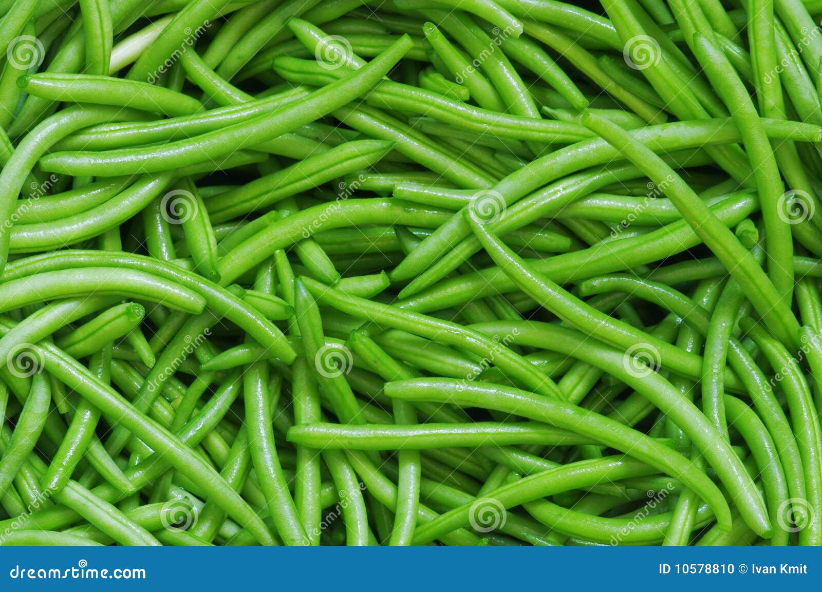 Fagiolo fotografia stock. Immagine di leguminosa, ingrediente - 10578810